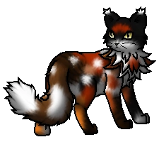 Sol | Warrior Cats Wiki | Fandom