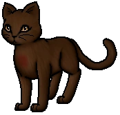 Rotbrust | Warrior Cats Wiki | Fandom