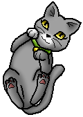 Rena (Hauskätzchen) | Warrior Cats Wiki | Fandom