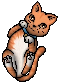 Filou | Warrior Cats Wiki | Fandom