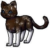 Krötensprung | Warrior Cats Wiki | Fandom
