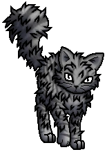 Silberhabicht | Warrior Cats Wiki | Fandom