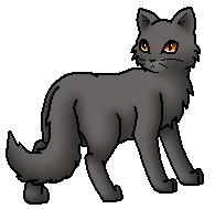 Wilbur | Warrior Cats Wiki | Fandom