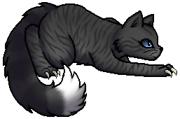 Gleitender Falke | Warrior Cats Wiki | Fandom