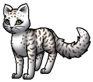Kieselglanz | Warrior Cats Wiki | Fandom