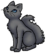 Barschpfote | Warrior Cats Wiki | Fandom