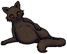 Scheues Reh | Warrior Cats Wiki | Fandom