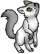 Mausbart | Warrior Cats Wiki | Fandom