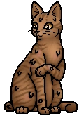 Schilffeder | Warrior Cats Wiki | Fandom