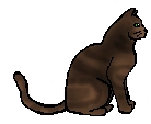 Shrewclaw | Warrior CatsRoleplaying Wiki | Fandom