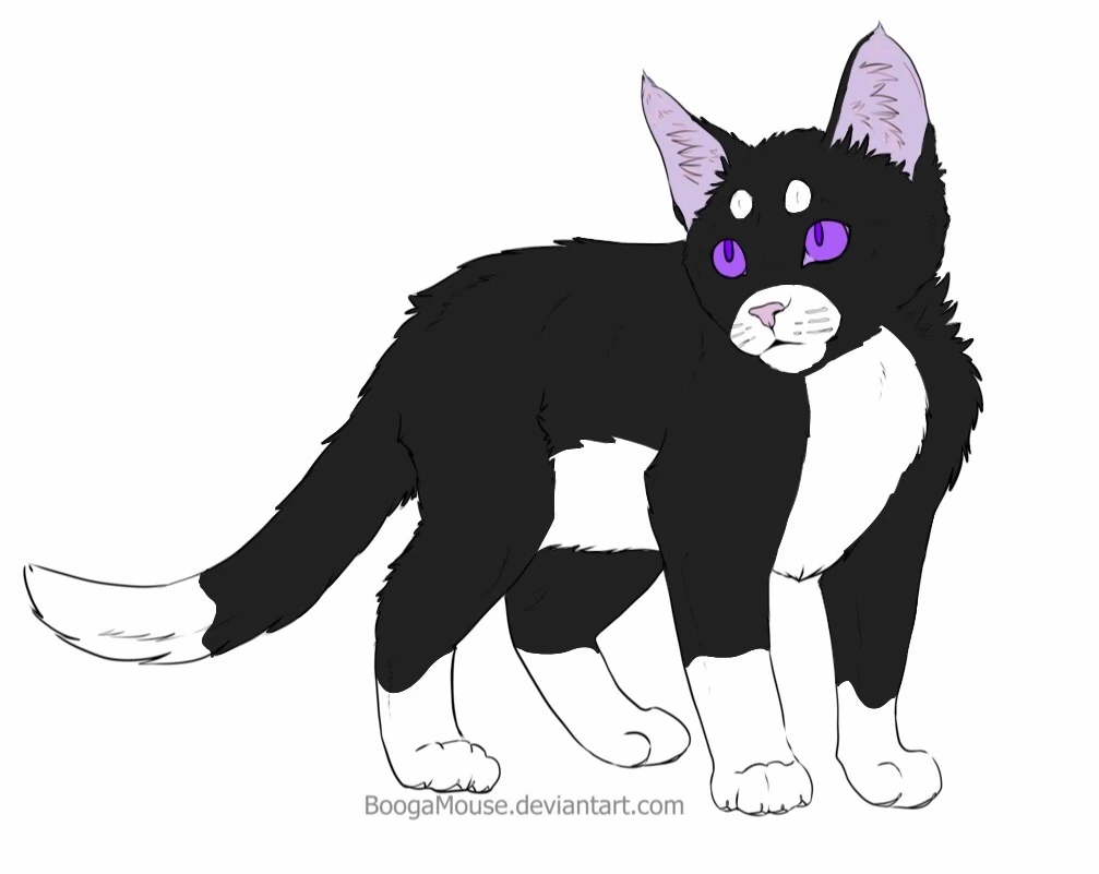 Violetpaw | Warrior Cats-Skyborn Wikia | Fandom