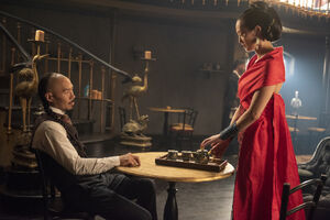 Ah Toy | Warrior Wiki | Fandom