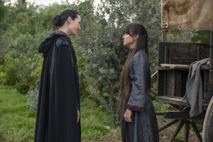 Ah Toy | Warrior Wiki | Fandom