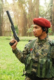 Pindad PS-01 | Воины и военная техника вики | Fandom