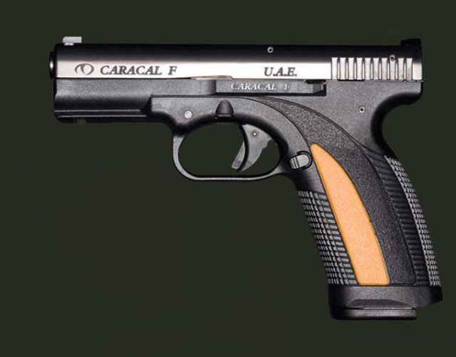 Caracal Воины и военная техника вики Fandom