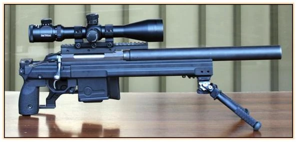 ASR-300 | Воины и военная техника вики | Fandom