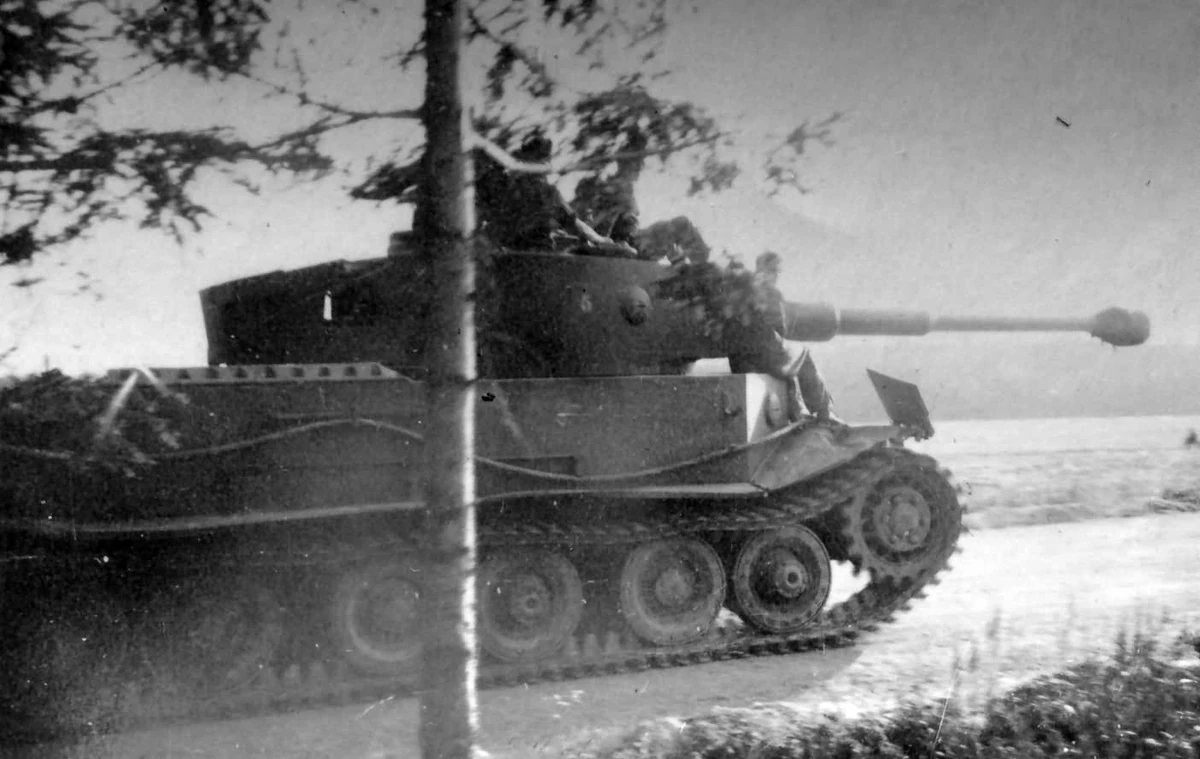 VK 45.01 (P) | Воины и военная техника вики | Fandom
