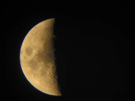 Moonclan | Warrior cats fantics Wiki | Fandom