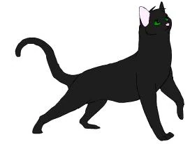 Warrior Cats Reedwhisker