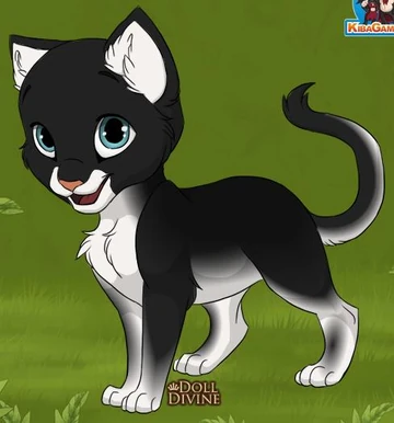 Swiftpaw | Warrior Cat RP Wiki | Fandom
