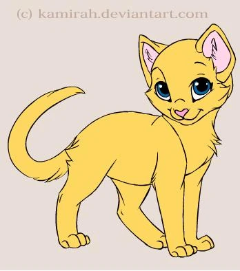 Seedkit | Warrior Cat RP Wiki | Fandom