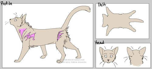 Warrior Cats Rock Sunningrocks | Warriors Wiki | Fandom