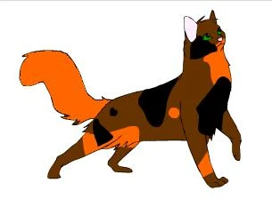 Redtail | Warrior Cat RP Wiki | Fandom
