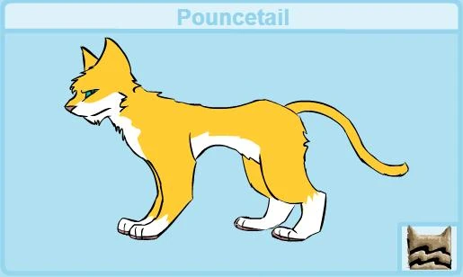 Pouncetail | Warrior Cat RP Wiki | Fandom