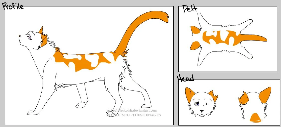 Brightheart | Warrior Cat RP Wiki | Fandom