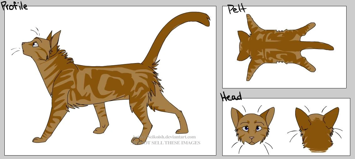 Warrior Cats Heatherpaw