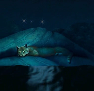 Leafpool | Warrior Cat RP Wiki | Fandom