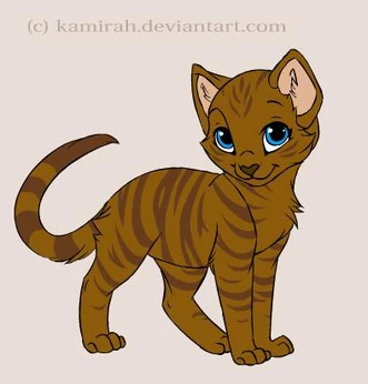 Larchkit | Warrior Cat RP Wiki | Fandom