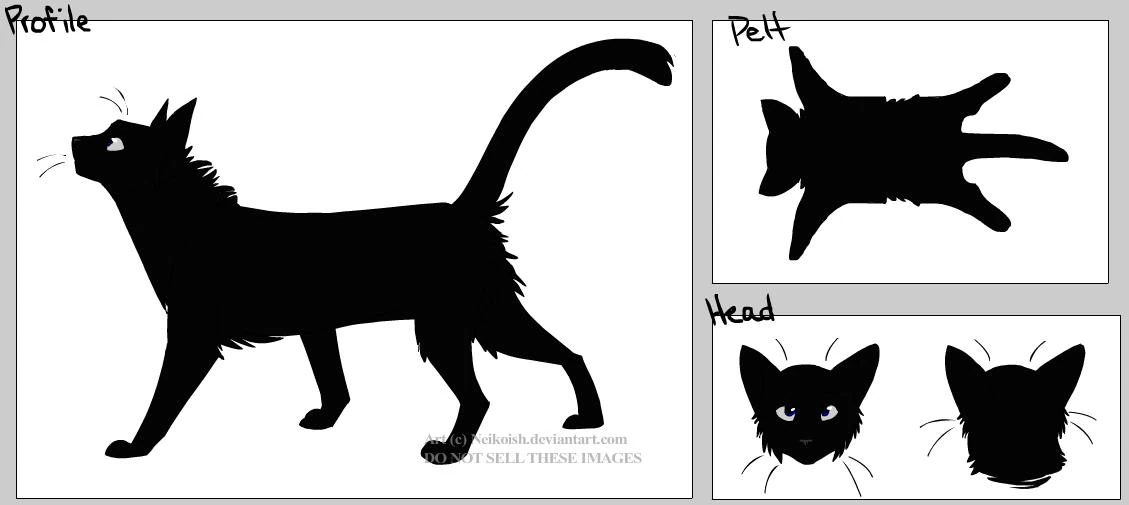 Shrewtooth | Warrior Cat RP Wiki | Fandom
