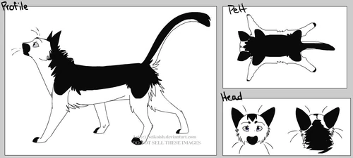 Toadstep | Warrior Cat RP Wiki | Fandom