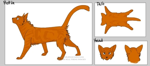 Foxleap | Warrior Cat RP Wiki | Fandom