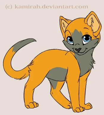 Stormkit | Warrior Cat RP Wiki | Fandom