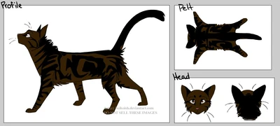 Tigerheart | Warrior Cat RP Wiki | Fandom