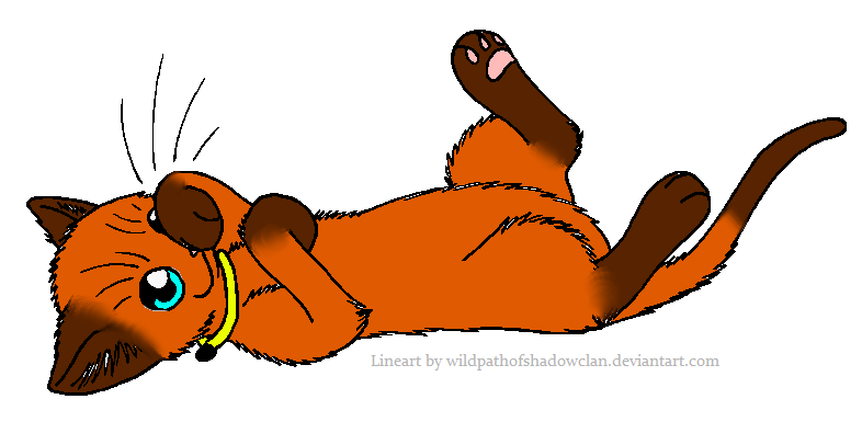Balu | WarriorCats-Erfindung Wiki | Fandom