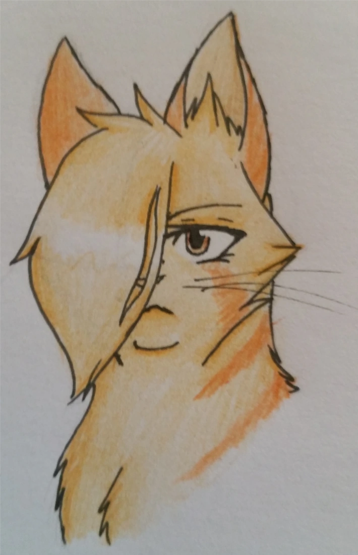 Sheena | WarriorCats-Erfindung Wiki | Fandom
