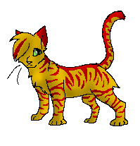 Farnpfote (by Onyx) | WarriorCats-Erfindung Wiki | Fandom