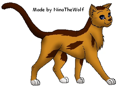 Piwo | WarriorCats-Erfindung Wiki | Fandom
