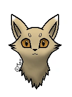 Jaykit | WarriorCats-Erfindung Wiki | Fandom