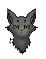 Wolfclaw | WarriorCats-Erfindung Wiki | Fandom