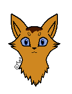 Piwo | WarriorCats-Erfindung Wiki | Fandom