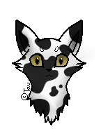 Birchnight | WarriorCats-Erfindung Wiki | Fandom
