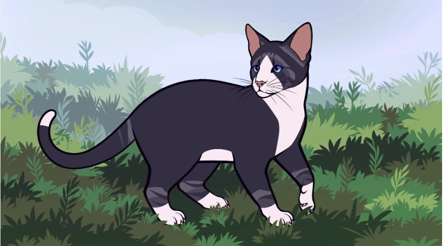 Nova (ESs) | Warrior Cats Fandom Wiki | Fandom