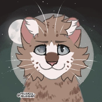 Hawkpaw | Warrior Cats Fandom Wiki | Fandom