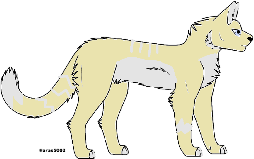 Puddlesong Dsxbf Warrior Cats Fandom Wiki Fandom