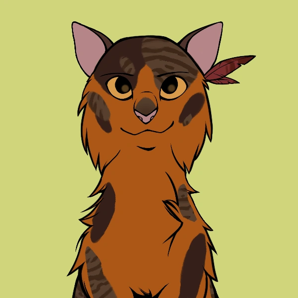 KoiFeather (BJTC) | Warrior Cats Fandom Wiki | Fandom