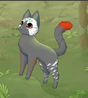 Shadowpelt (SMxSP) | Warrior Cats Fandom Wiki | Fandom